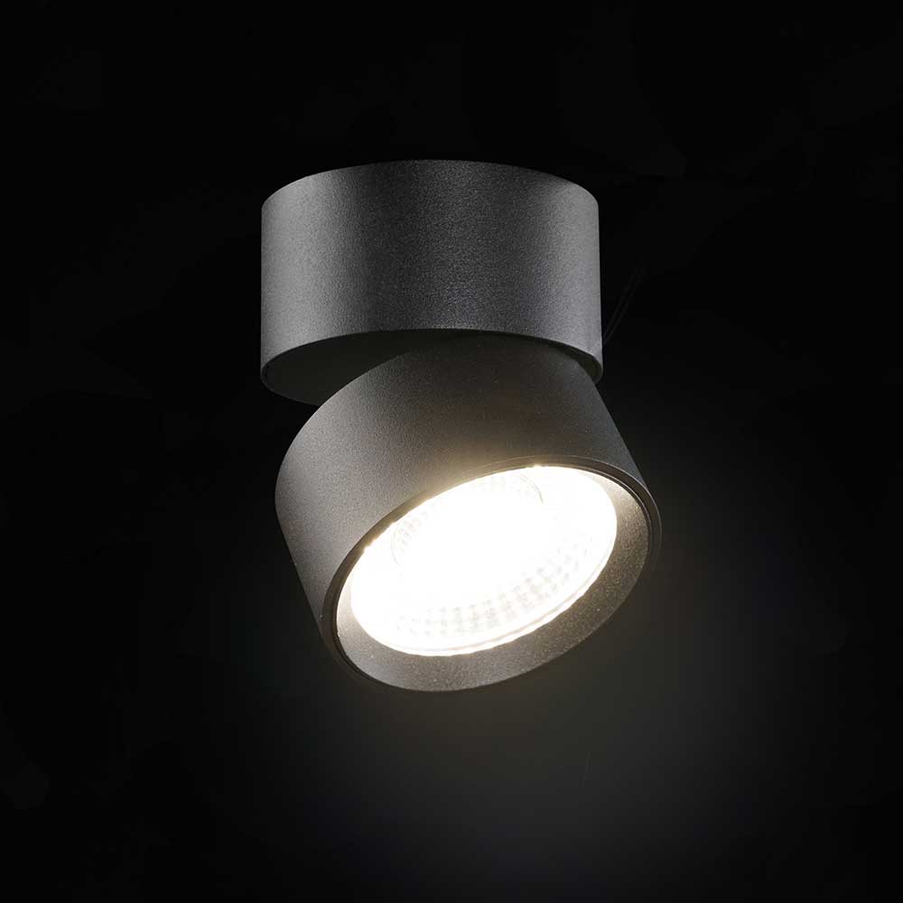 Накладной потолочный светильник Lumker R-SSF-BL-NW-DIM 014418 ⚡ ...