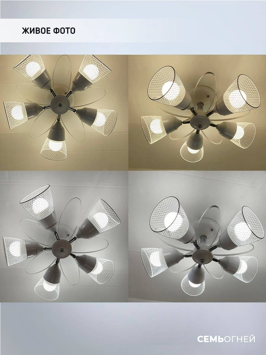 Потолочная люстра Seven Fires Berat WD3525/5C-WT-CR-WT — купить за 4300 руб. в интернет-магазине ...